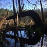 Killarney Lake Loop , British Columbia, Canada - 291 Reviews, Map ...