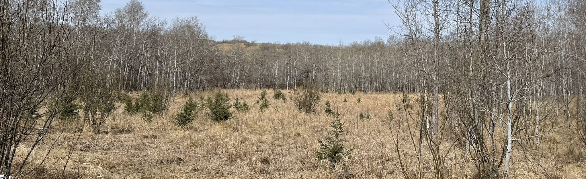 Birtle Cross Country Ski Trail, Manitoba, Canada - 13 Reviews, Map ...