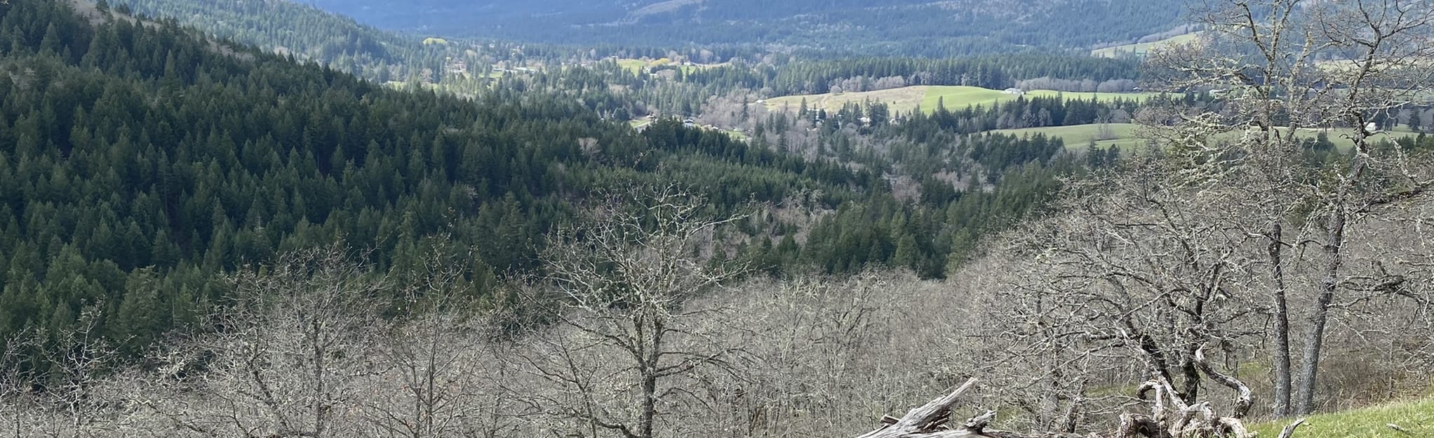 Weldon Wagon Road Trail, Washington - 438 Reviews, Map | AllTrails