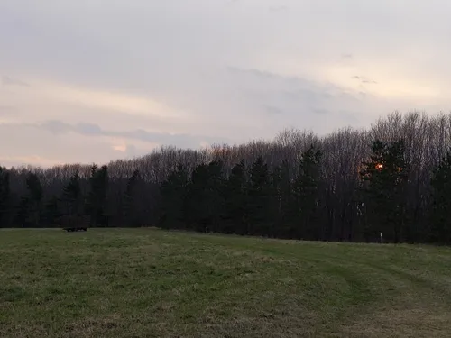 Best Hikes and Trails in Coulee Experimental State Forest | AllTrails