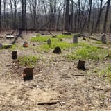 Cecil Cove Loop Trail, Arkansas - 157 Reviews, Map | AllTrails