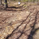 Cecil Cove Loop Trail, Arkansas - 157 Reviews, Map | AllTrails