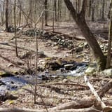 Cecil Cove Loop Trail, Arkansas - 157 Reviews, Map | AllTrails