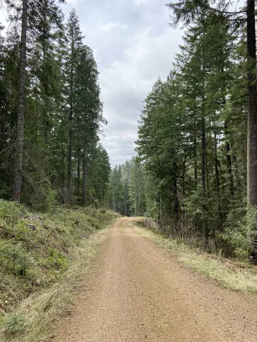 Best Hikes and Trails in Myrtle Creek | AllTrails