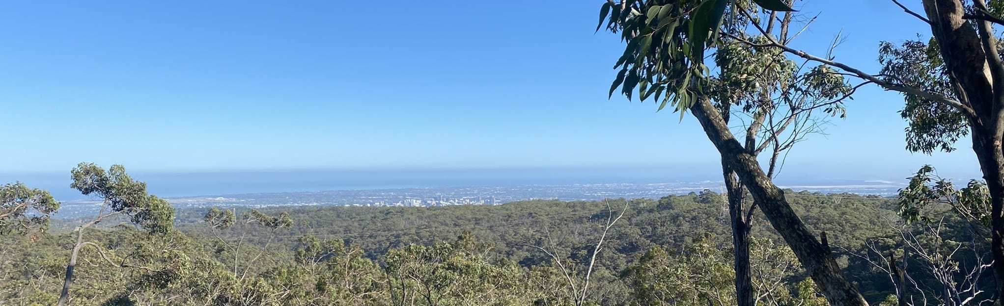 Water­fall Gul­ly to Mount Lofty Hike, South Australia, Australia - 689 Reviews, Map | AllTrails