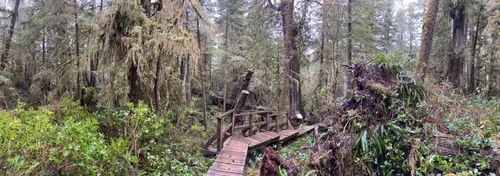 10 Best Hikes and Trails in Pacific Rim National Park Reserve | AllTrails