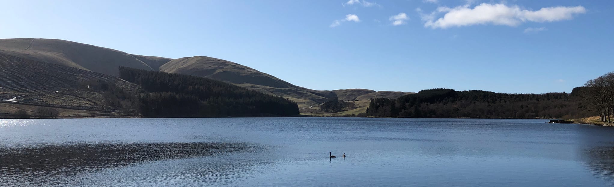 Westloch and Portmore Reservoir Circular, Midlothian, Scotland - 14 ...
