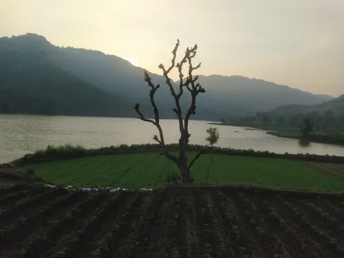 10 Best Forest Trails in Bhimashankar Wildlife Sanctuary | AllTrails