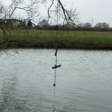 Farmoor Reservoir Countryside Walk, Oxfordshire, England - 88 Reviews ...