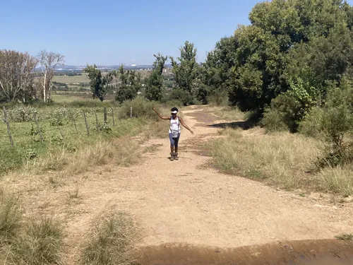 Best Hikes and Trails in Northern Farm Nature Reserve | AllTrails