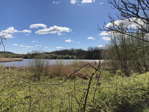 Best Hikes and Trails in Denaby Ings Nature Reserve | AllTrails