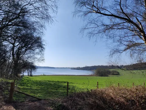 Best Hikes and Trails in Dimsdale Plantation | AllTrails