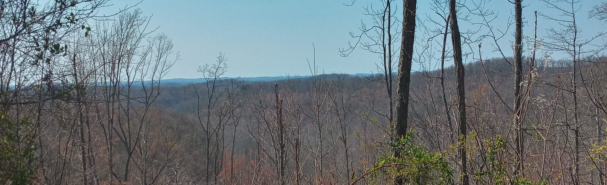 Wildcat Ridge Trail, West Virginia - 55 Reviews, Map | AllTrails