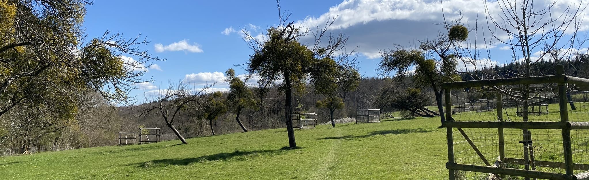 Haugh Woods and Joans Hill Farm Reserve: 28 Reviews, Map ...