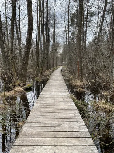 Best Hikes and Trails in Polesian National Park | AllTrails