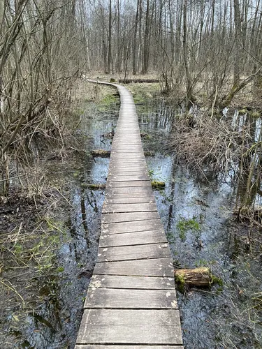 Best Hikes and Trails in Poleski Park Krajobrazowy | AllTrails