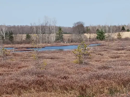 Best Hikes and Trails in Waldron Fen Nature Preserve | AllTrails