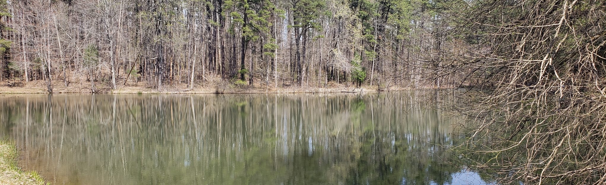 Martin State Forest Loop: 41 Reviews, Map - Indiana | AllTrails