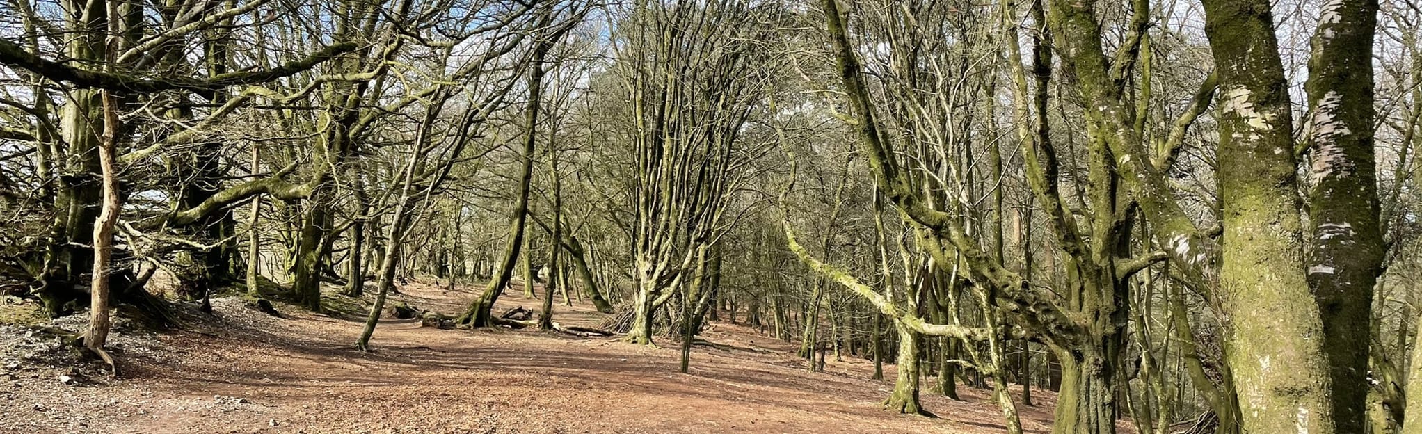 Lambert’s Castle and Fishpond Circular, Dorset, England - 40 Reviews ...