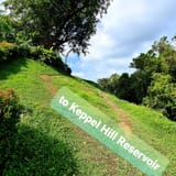 Mount Faber Scenic Walking Tour, Central, Singapore - 53 Reviews, Map ...