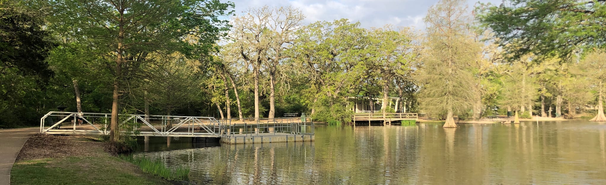 Wayne Bryan Bike Loop, Texas - 40 Reviews, Map | AllTrails