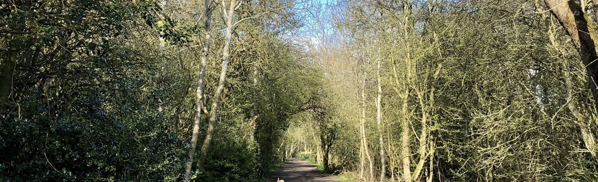 Ponteland and Darras Hall Circular: 81 Reviews, Map - Tyne and Wear ...