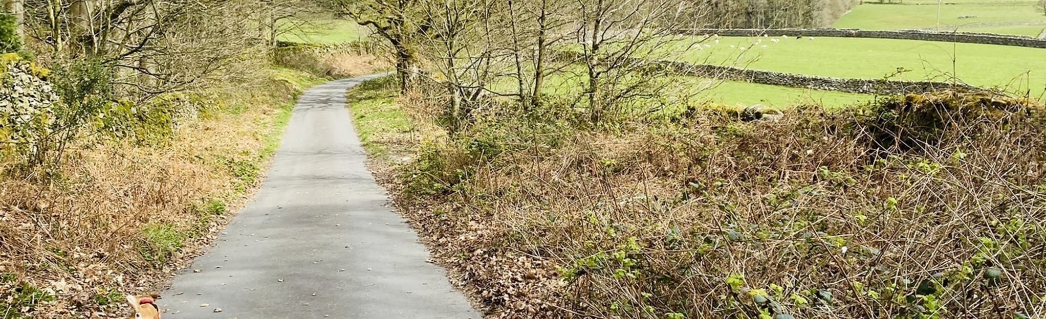 Flookburgh and Cartmel Circular: 58 Reviews, Map - Cumbria, England ...