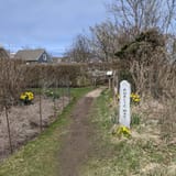 Sconset Bluff Path, Massachusetts - 251 Reviews, Map | AllTrails