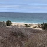 Sconset Bluff Path, Massachusetts - 251 Reviews, Map | AllTrails