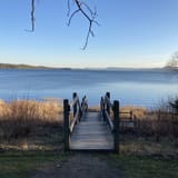 Button Bay Trail, Vermont - 175 Reviews, Map | AllTrails