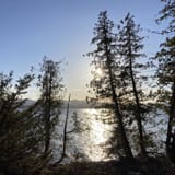 Button Bay Trail, Vermont - 175 Reviews, Map | AllTrails