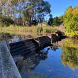 Campaspe River Walk, Victoria, Australia - 314 Reviews, Map | AllTrails