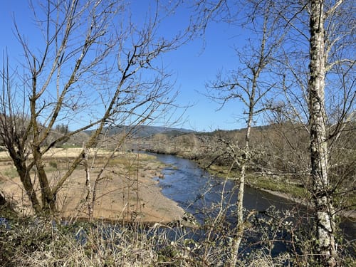 Best Hikes and Trails in Grays River | AllTrails