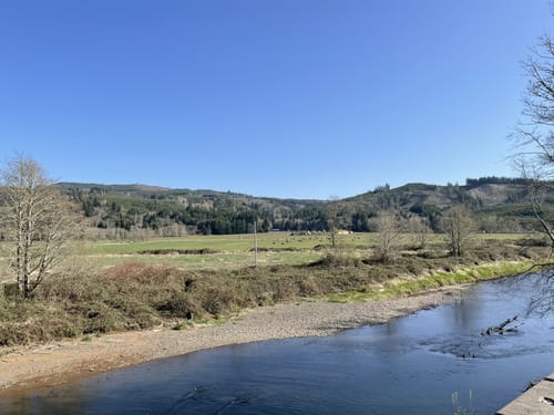 Best Hikes and Trails in Grays River | AllTrails