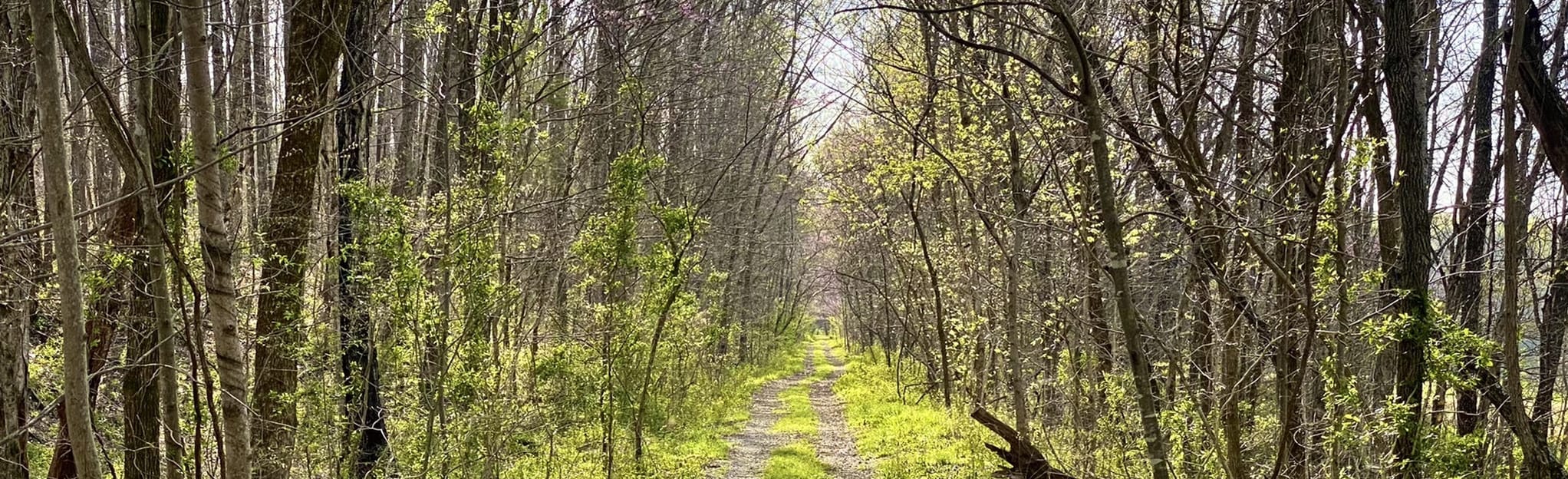 Tennessee Ridge Multi-Use Trail, Tennessee - 8 Reviews, Map | AllTrails