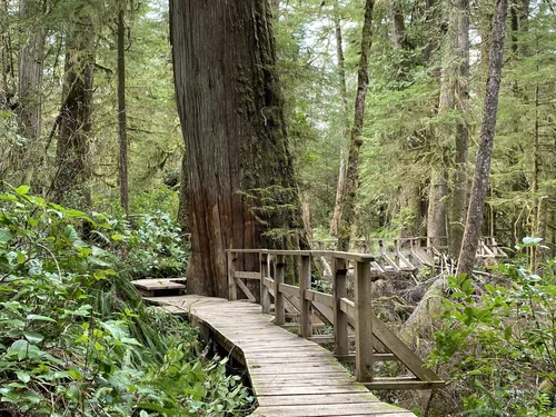10 Best Hikes and Trails in Pacific Rim National Park Reserve | AllTrails