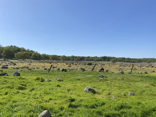 Best Hikes and Trails in Lake Red Bluff Recreation Area | AllTrails