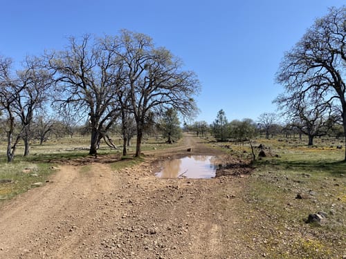 Best Hikes and Trails in Lake Red Bluff Recreation Area | AllTrails