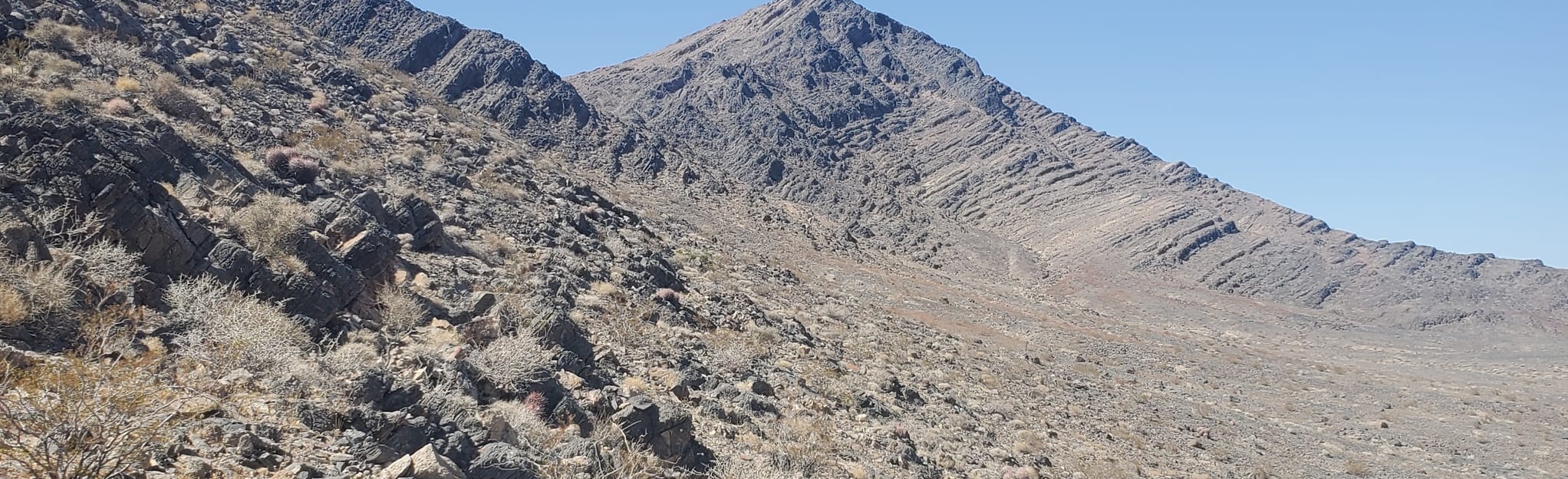 Devil's Hole Overlook: 31 Reviews, Map - Nevada | AllTrails