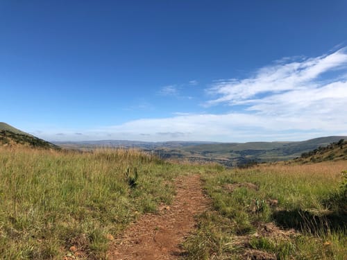 Best Hikes and Trails in Rocky Drift Nature Reserve | AllTrails