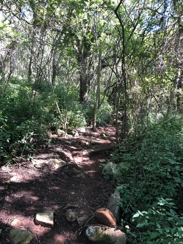 Best Hikes and Trails in Rocky Drift Nature Reserve | AllTrails