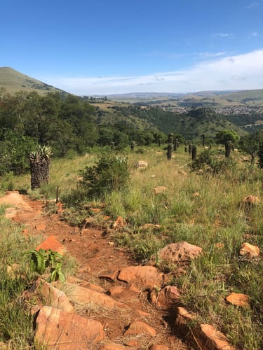 Best Hikes and Trails in Rocky Drift Nature Reserve | AllTrails