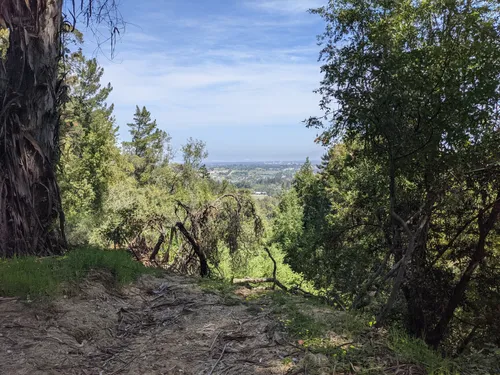 10 Best Hikes and Trails in Wunderlich County Park | AllTrails