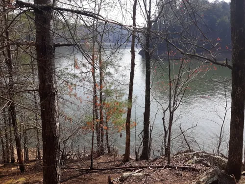 Best Hikes and Trails in Hanging Dog Recreation Area | AllTrails