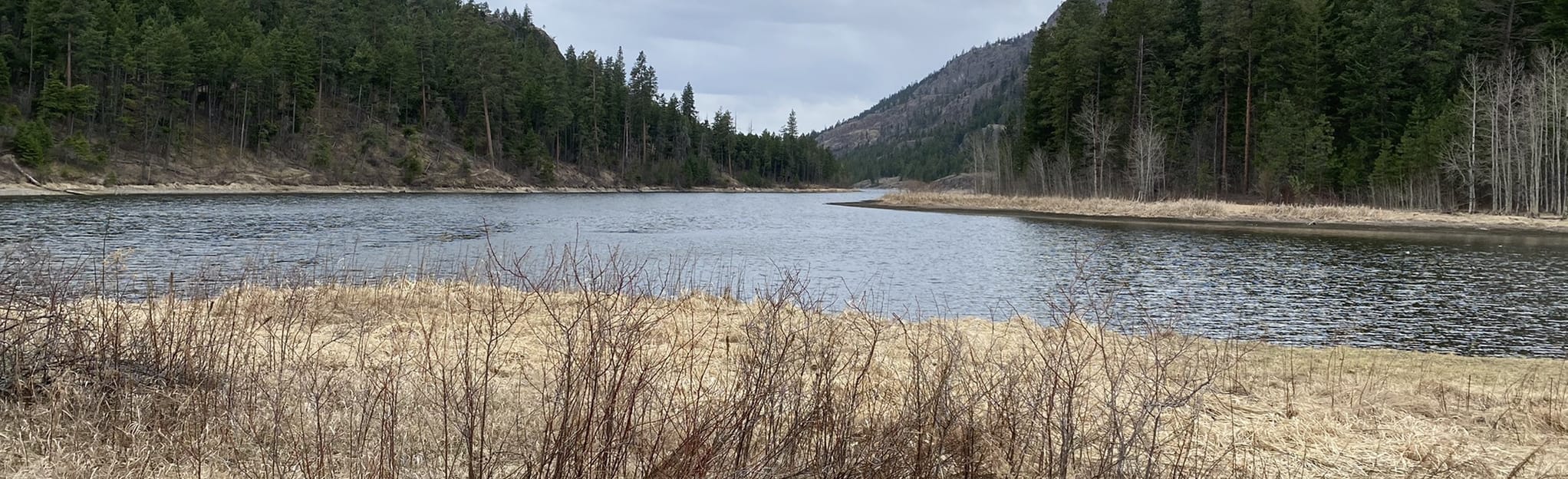 Cattywumpuss, Swamp Donkey and Roster Tree Loop [CLOSED], British ...