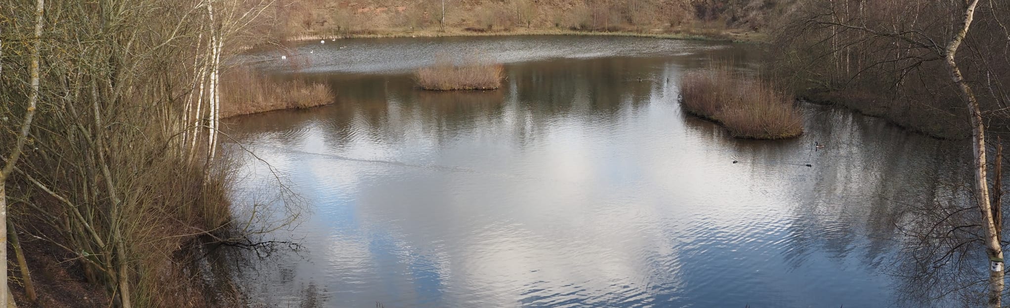 Ufton Fields Nature Reserve Circular: 13 Fotos - Warwickshire, England ...