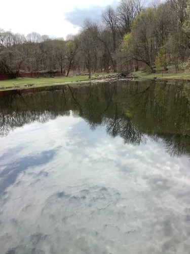 Best Hikes and Trails in Allison Park | AllTrails