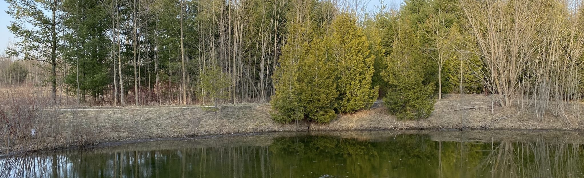 Laurel Creek Forest Loop: 14 Reviews, Map - Ontario, Canada | AllTrails