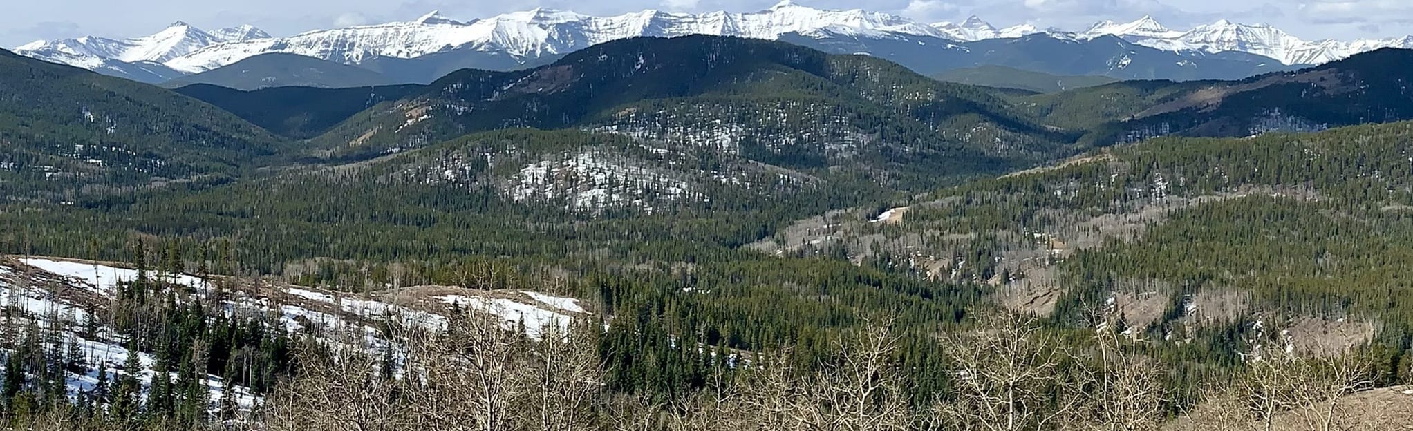 Channel Ridge, Alberta, Canada - 12 Reviews, Map | AllTrails