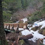 Tarbell Trail Hidden Falls , Washington - 110 Reviews, Map | AllTrails